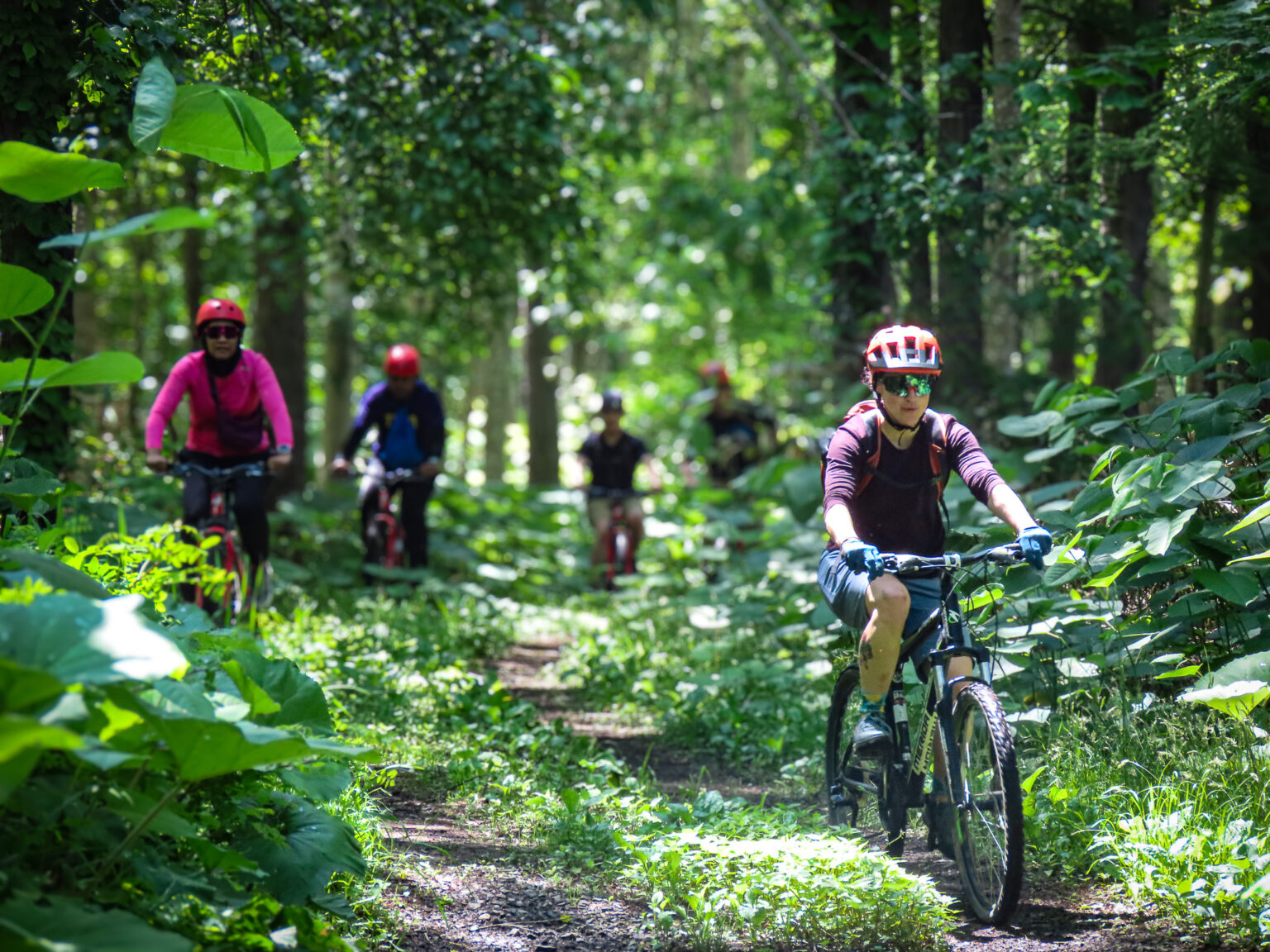 Good season for bike – NAC