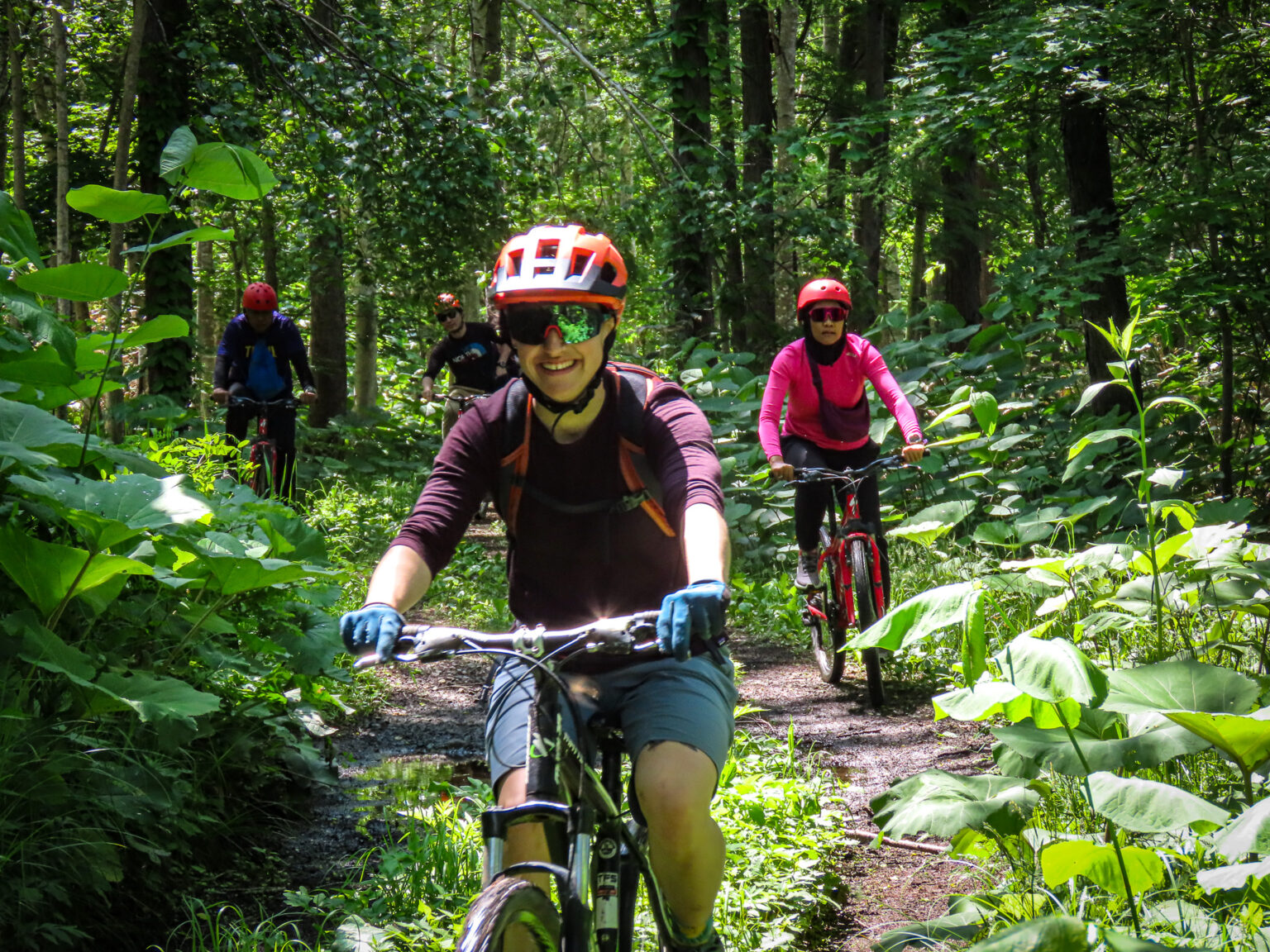 Good season for bike – NAC